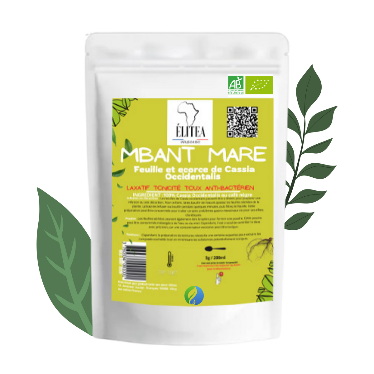 Cassia Occidentalis (Mbant Mare) du Sénégal – ÉLITEA